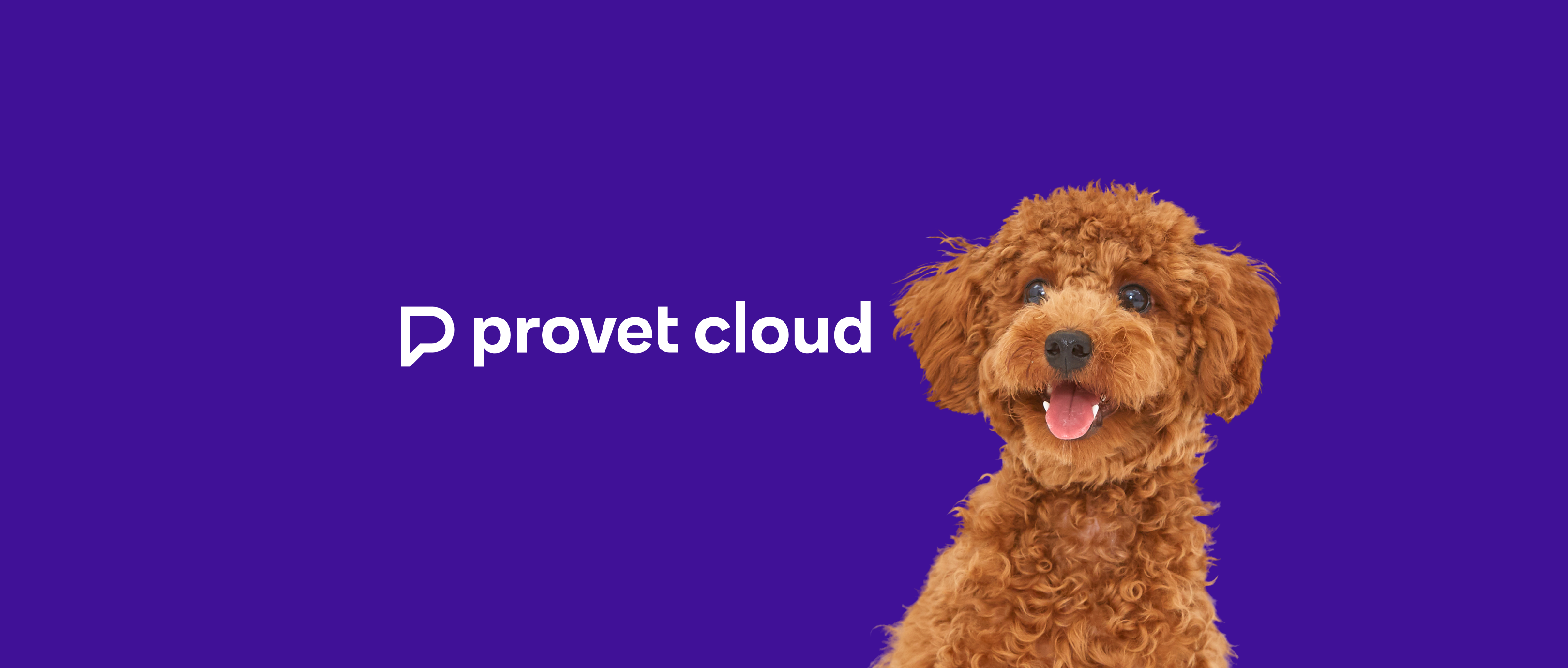 Provet Cloud reflects on outstanding year of global growth